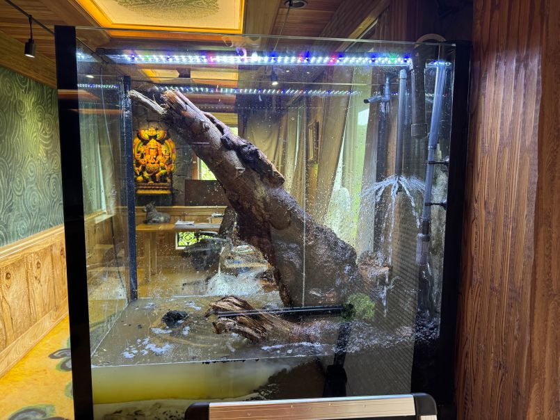Our New Monk-Made Aquarium - Kauai's Hindu Monastery
