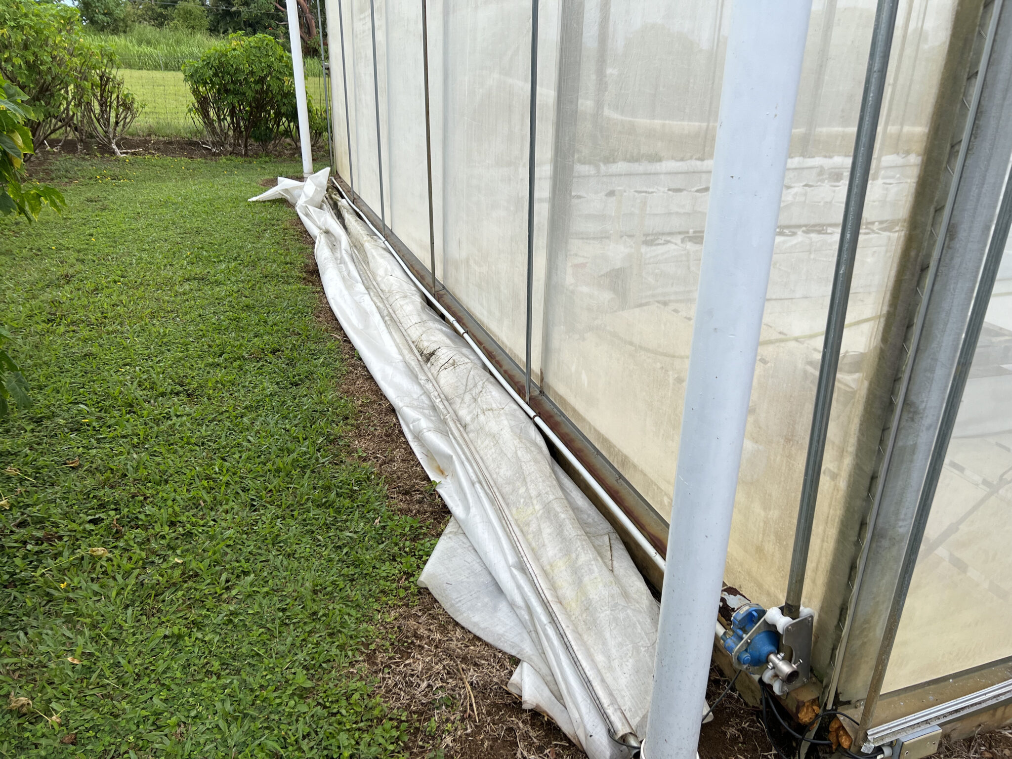 Refreshing the Greenhouse - Kauai's Hindu Monastery