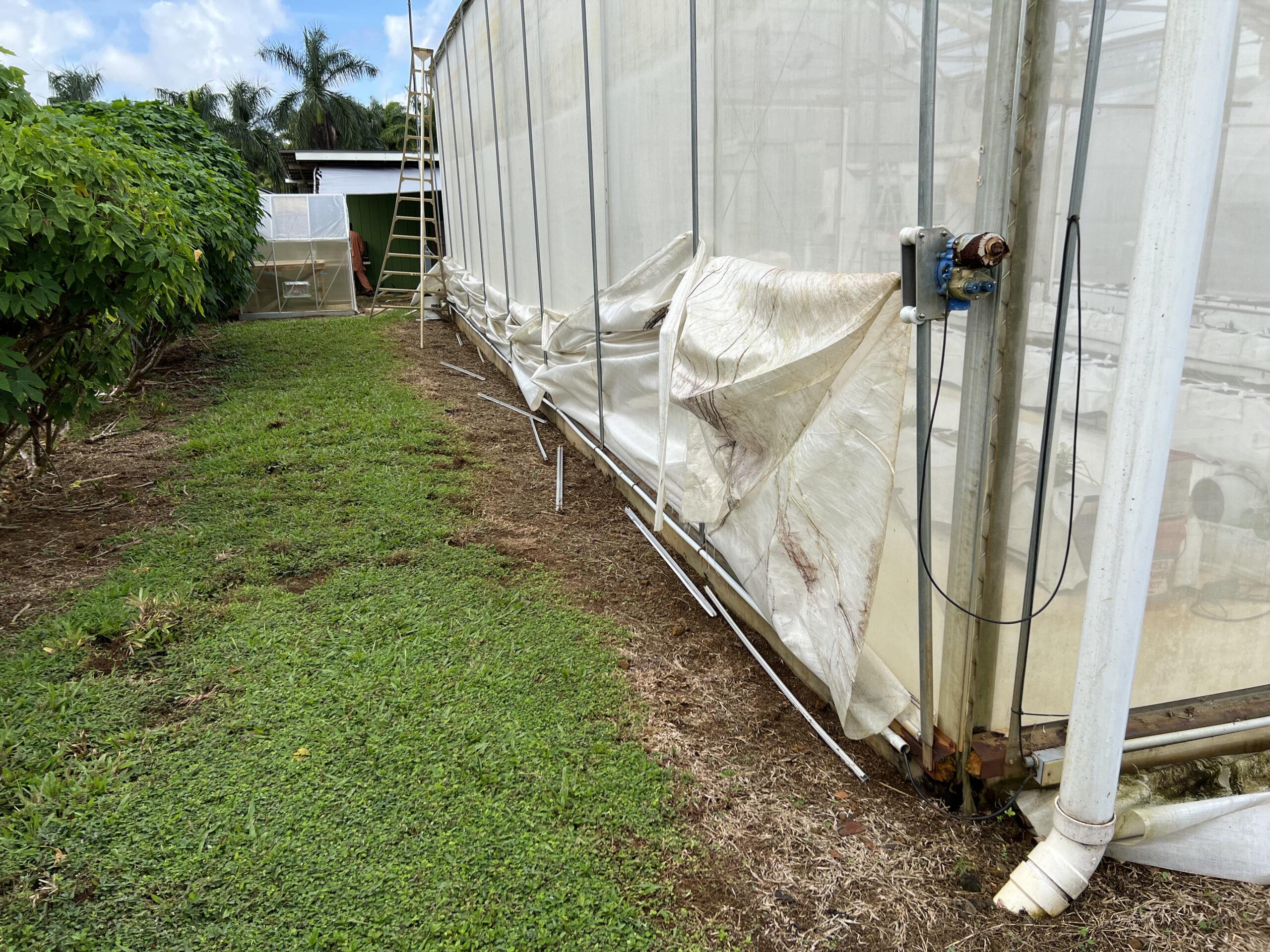 Refreshing the Greenhouse - Kauai's Hindu Monastery