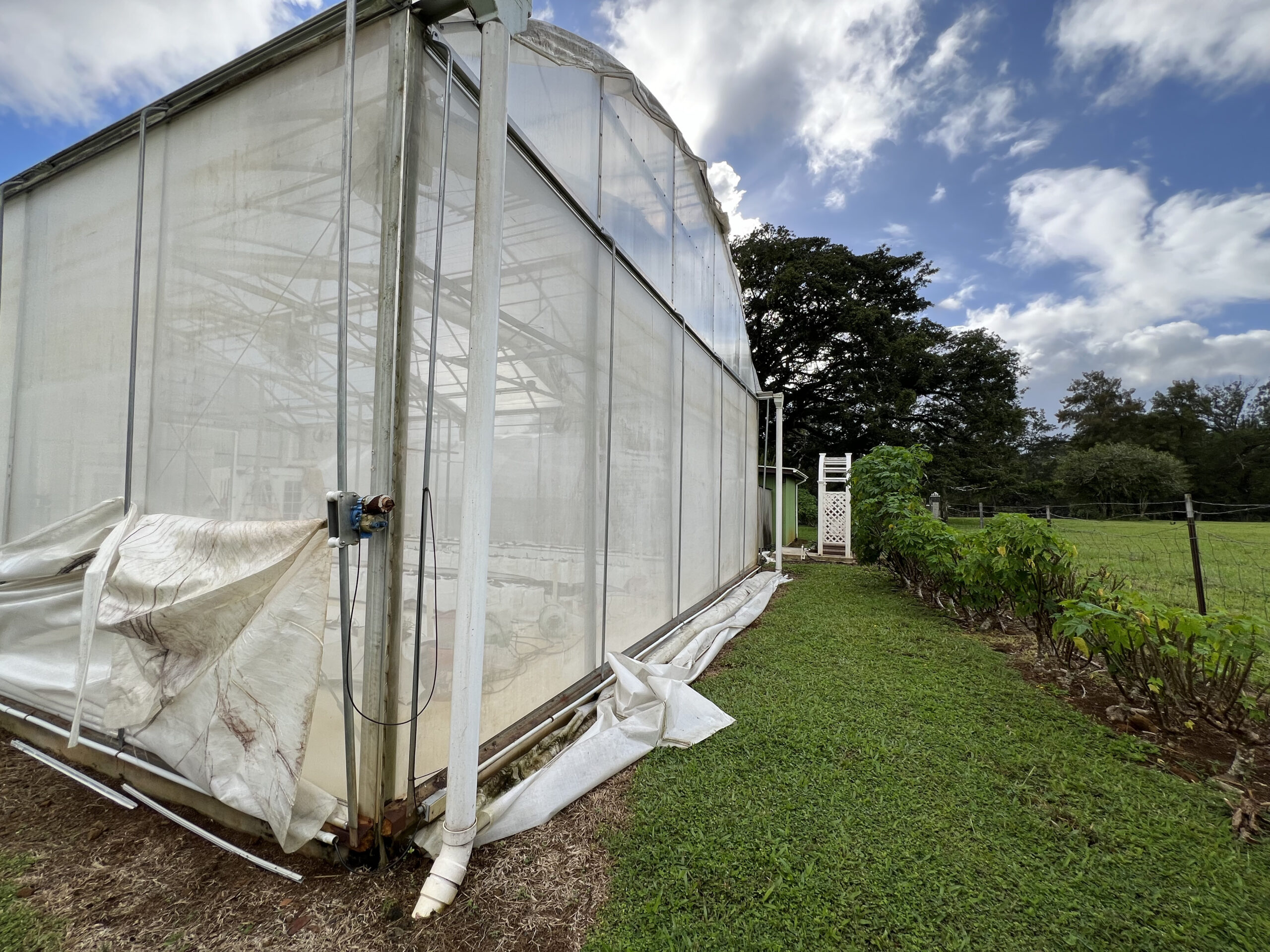 Refreshing the Greenhouse - Kauai's Hindu Monastery
