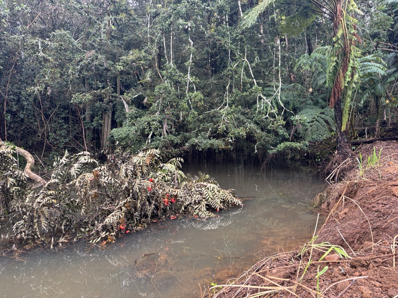 More Land Reclamation - Kauai's Hindu Monastery