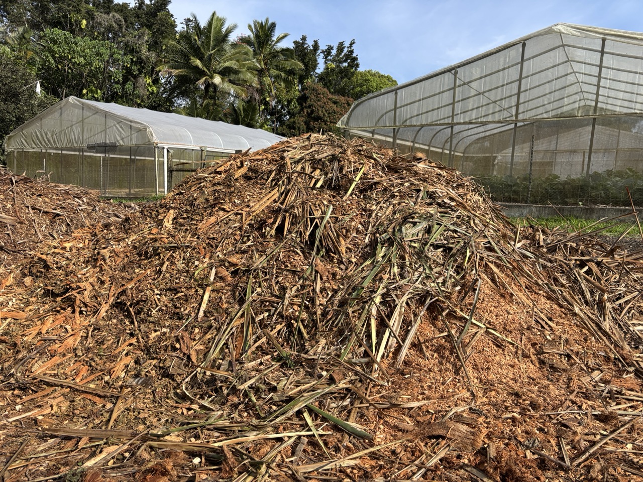 Can We Ever Receive Too Much Mulch? - Kauai's Hindu Monastery