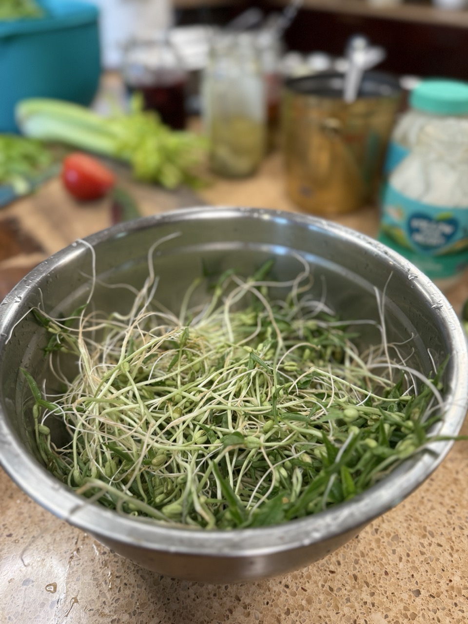 Our Own Bean Sprouts - Kauai's Hindu Monastery