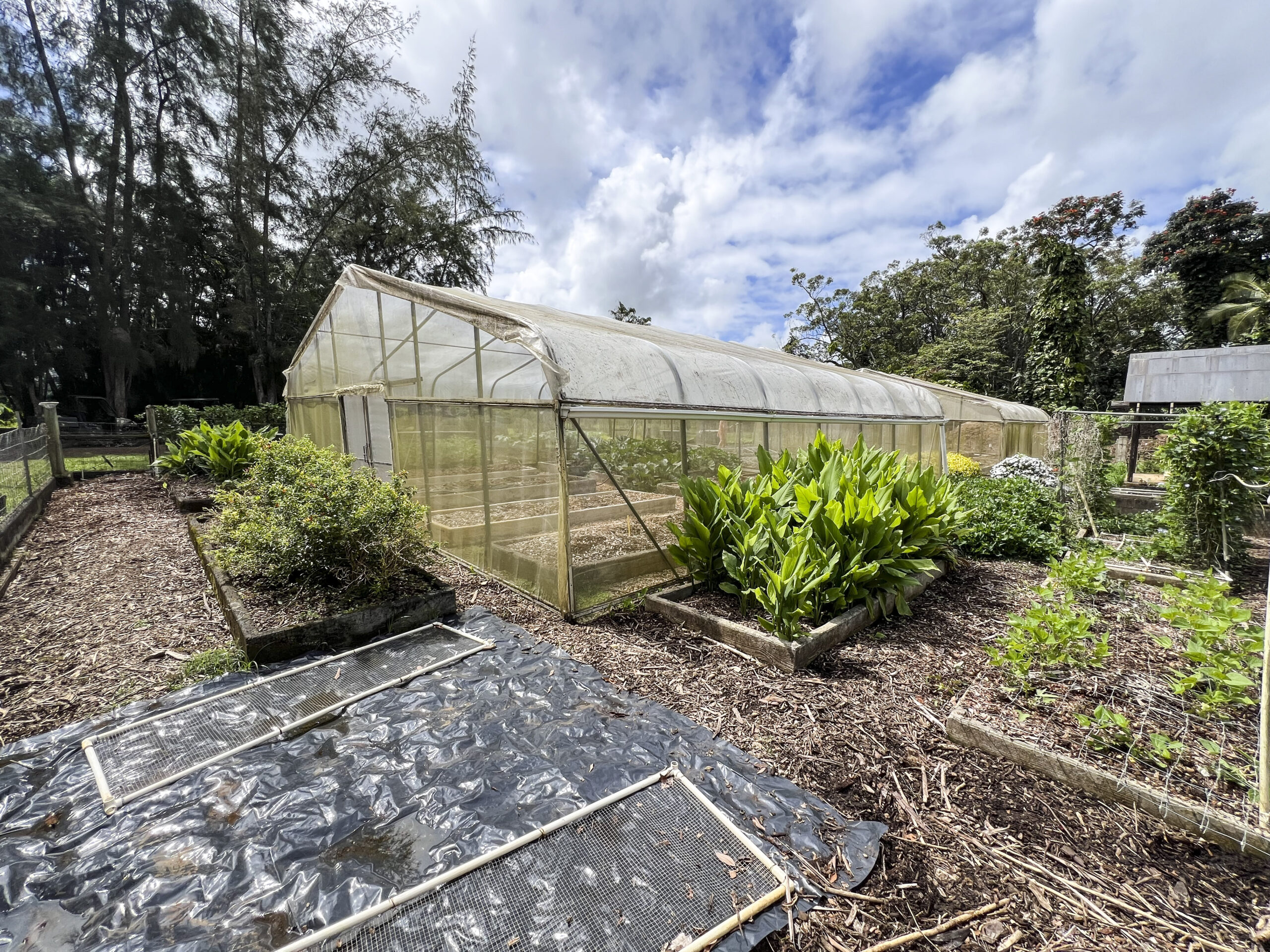 Our Garden Day - Kauai's Hindu Monastery