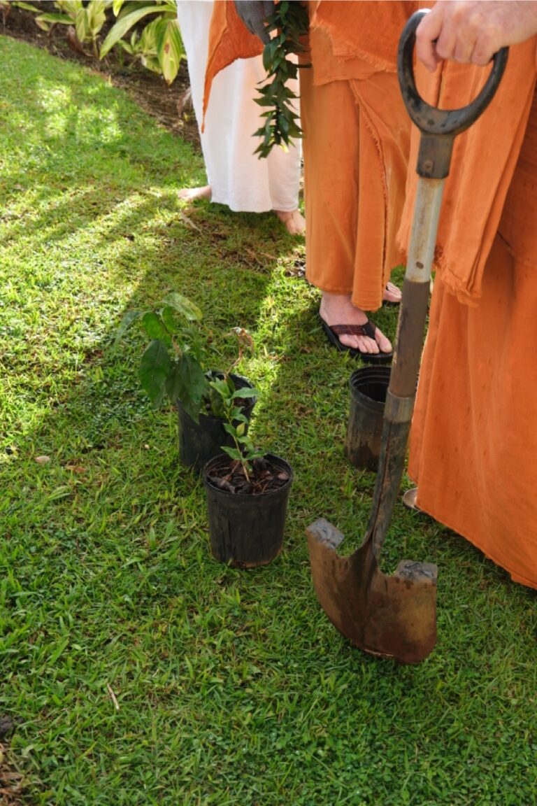 Planting a New Bilva Tree - Kauai's Hindu Monastery